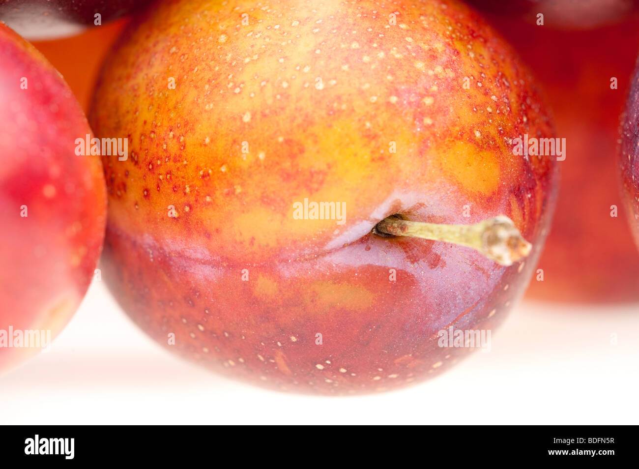 English plums hi-res stock photography and images - Alamy