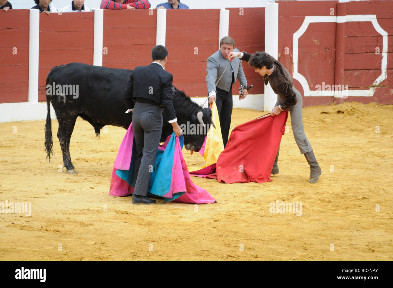 Image of bullring Stock Photo - Alamy