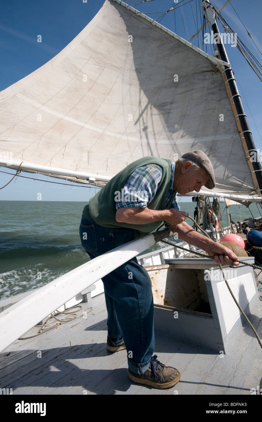 Bill Coleman retired whitstable oyster fisherman at the helm of his ...