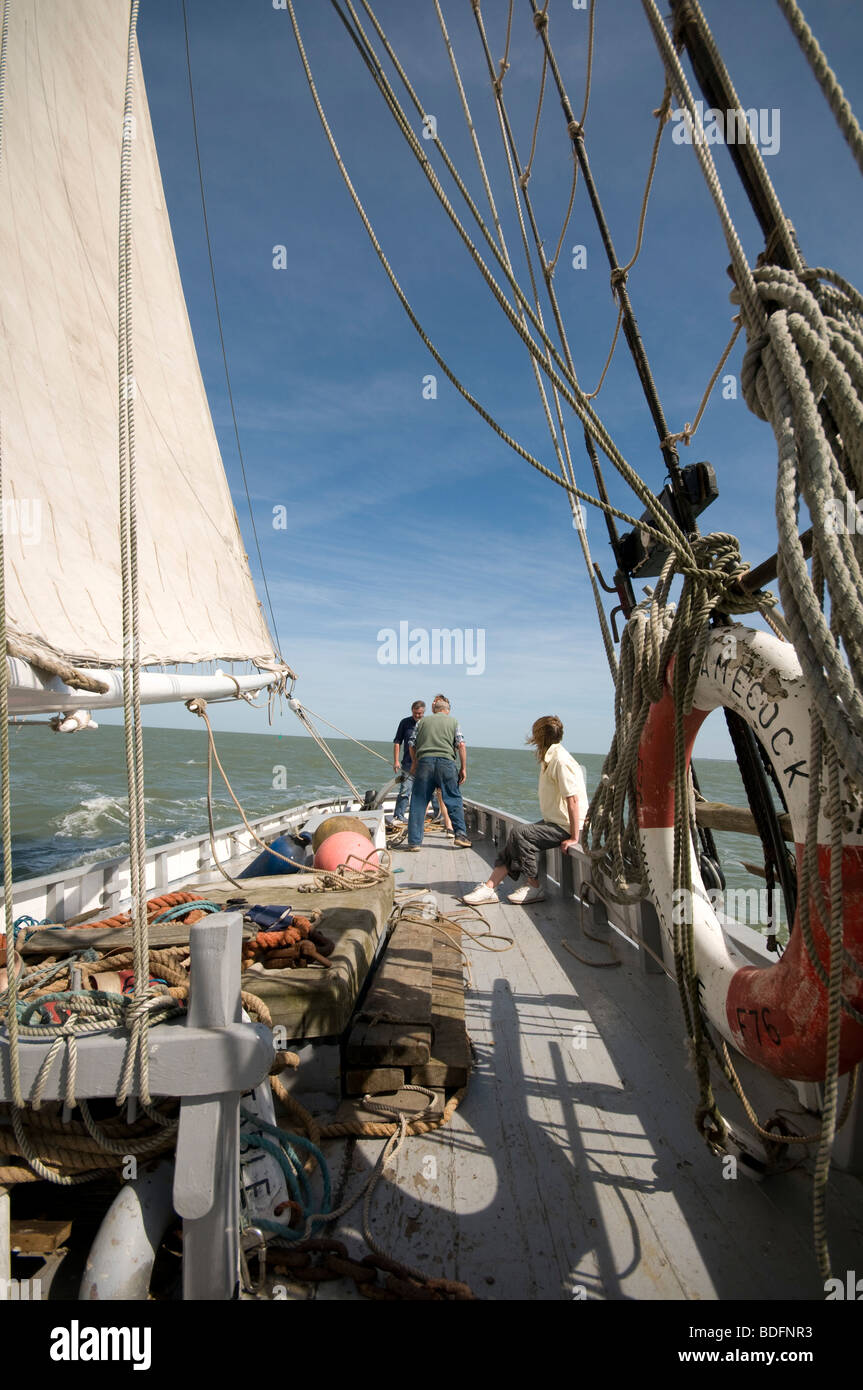 whitstable oyster smack the gamecock undersail Stock Photo - Alamy