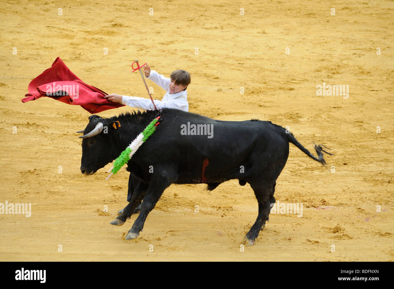 Imagen of bullfighting festivals Stock Photo - Alamy