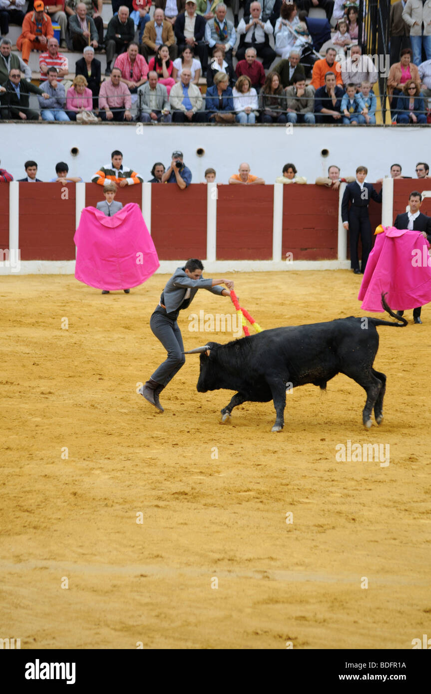 Image of bullfighting festivals Stock Photo - Alamy