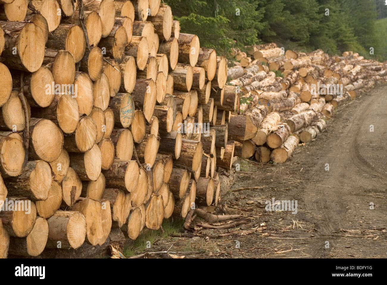 Forestry commission log pile hi-res stock photography and images - Alamy