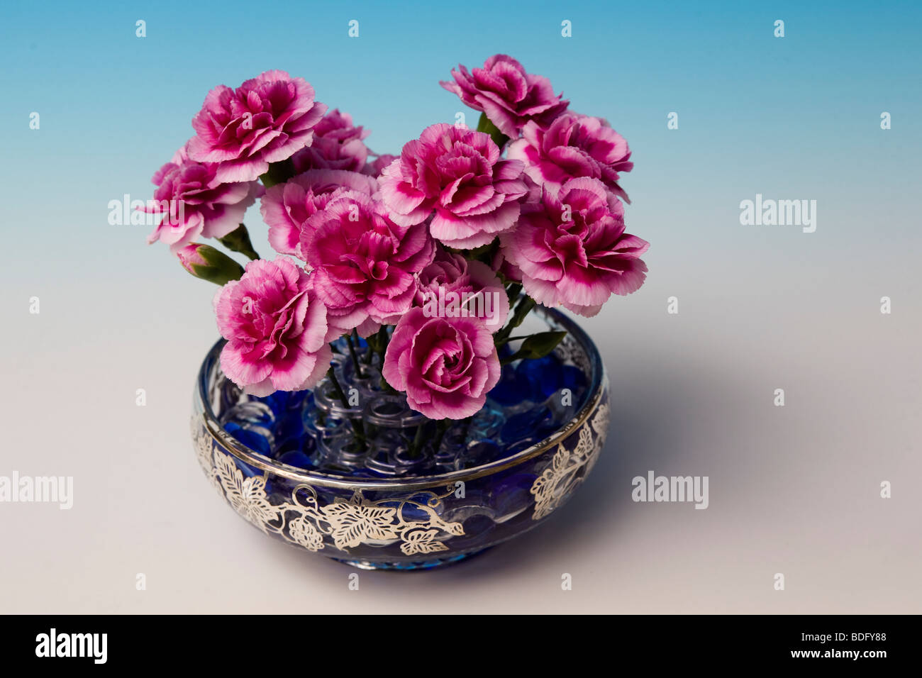 Display of red carnations in bowl Stock Photo - Alamy