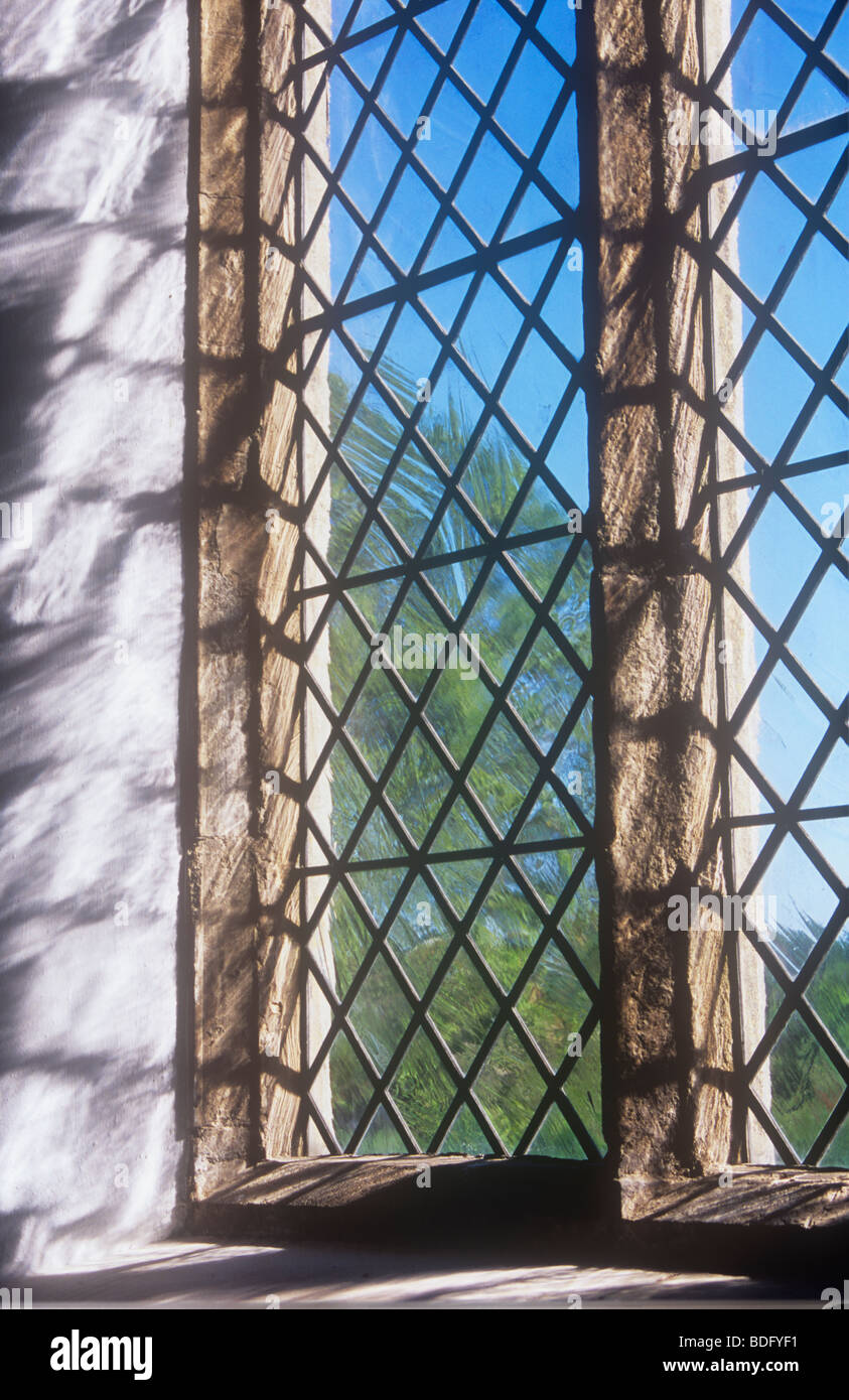 View through diamond leaded window of fresh spring green foliage of ...