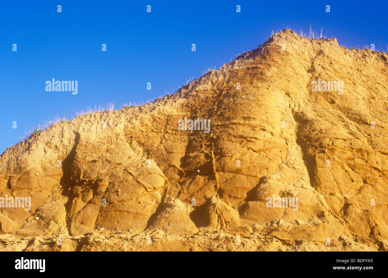 Detail of sandstone cliff face ravaged by water erosion in warm evening ...