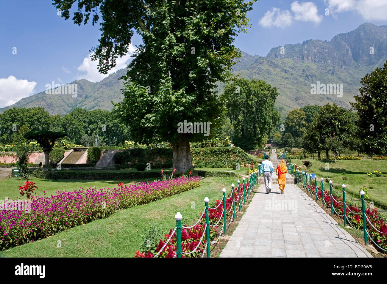 Nishat Mughal garden. Srinagar. Kashmir. India Stock Photo - Alamy