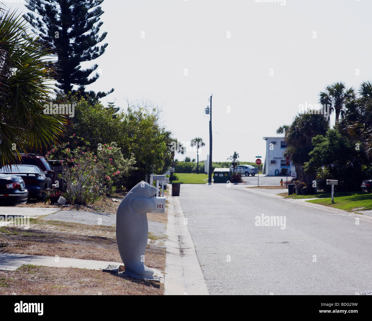 mailbox in the shape of a manatee Stock Photo - Alamy