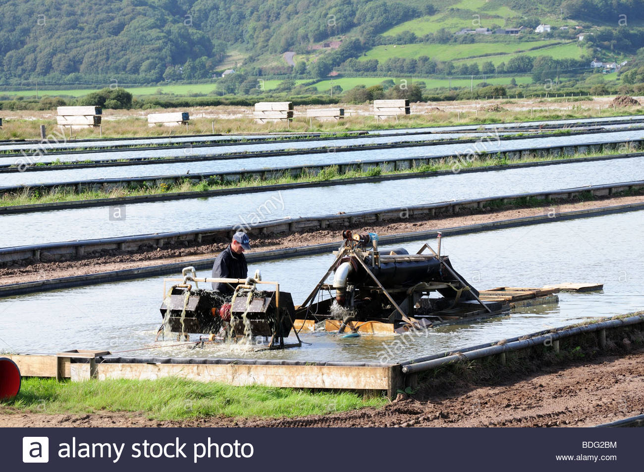 Worm Machine High Resolution Stock Photography and Images - Alamy