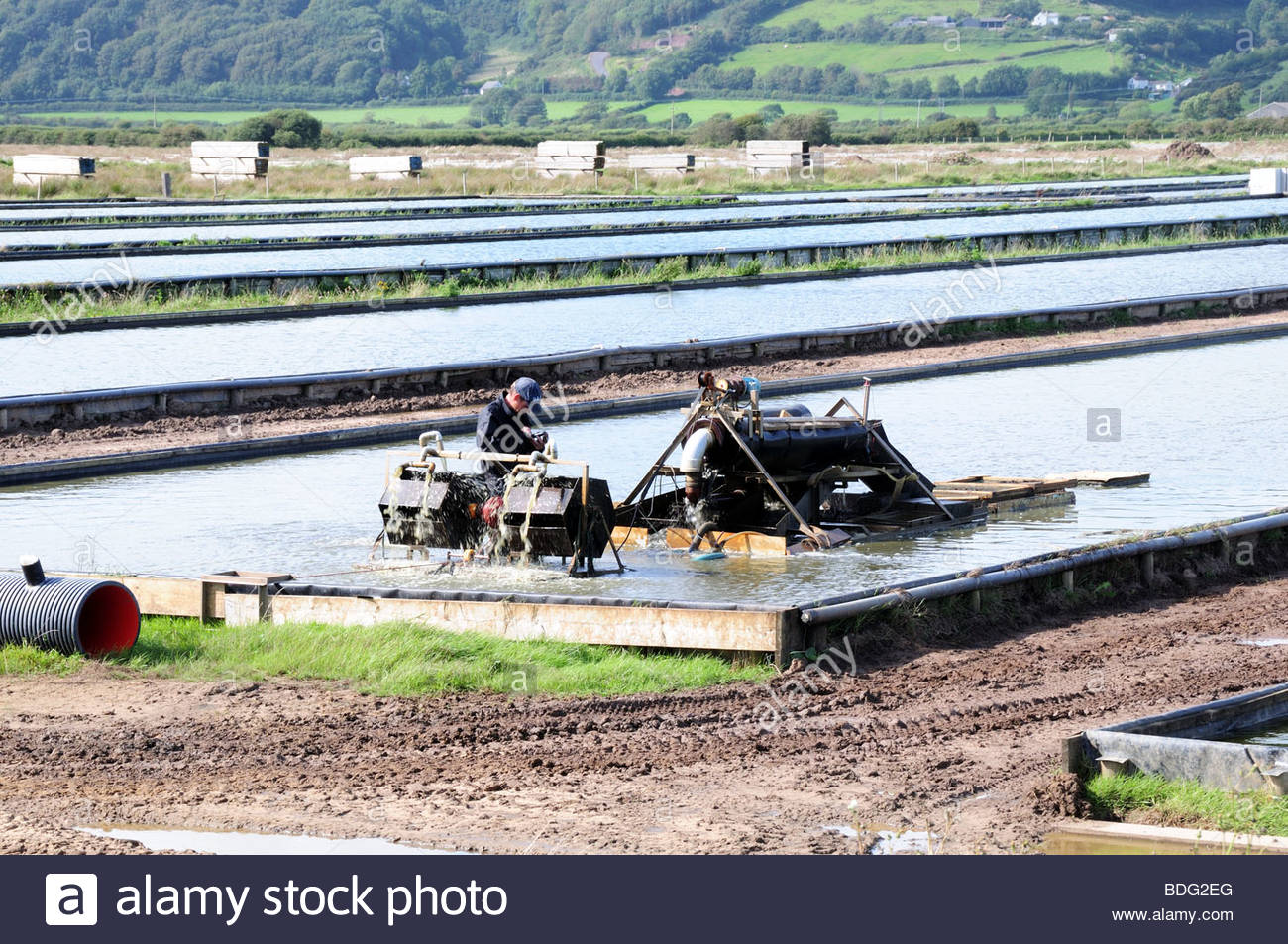 Worm Machine High Resolution Stock Photography and Images - Alamy