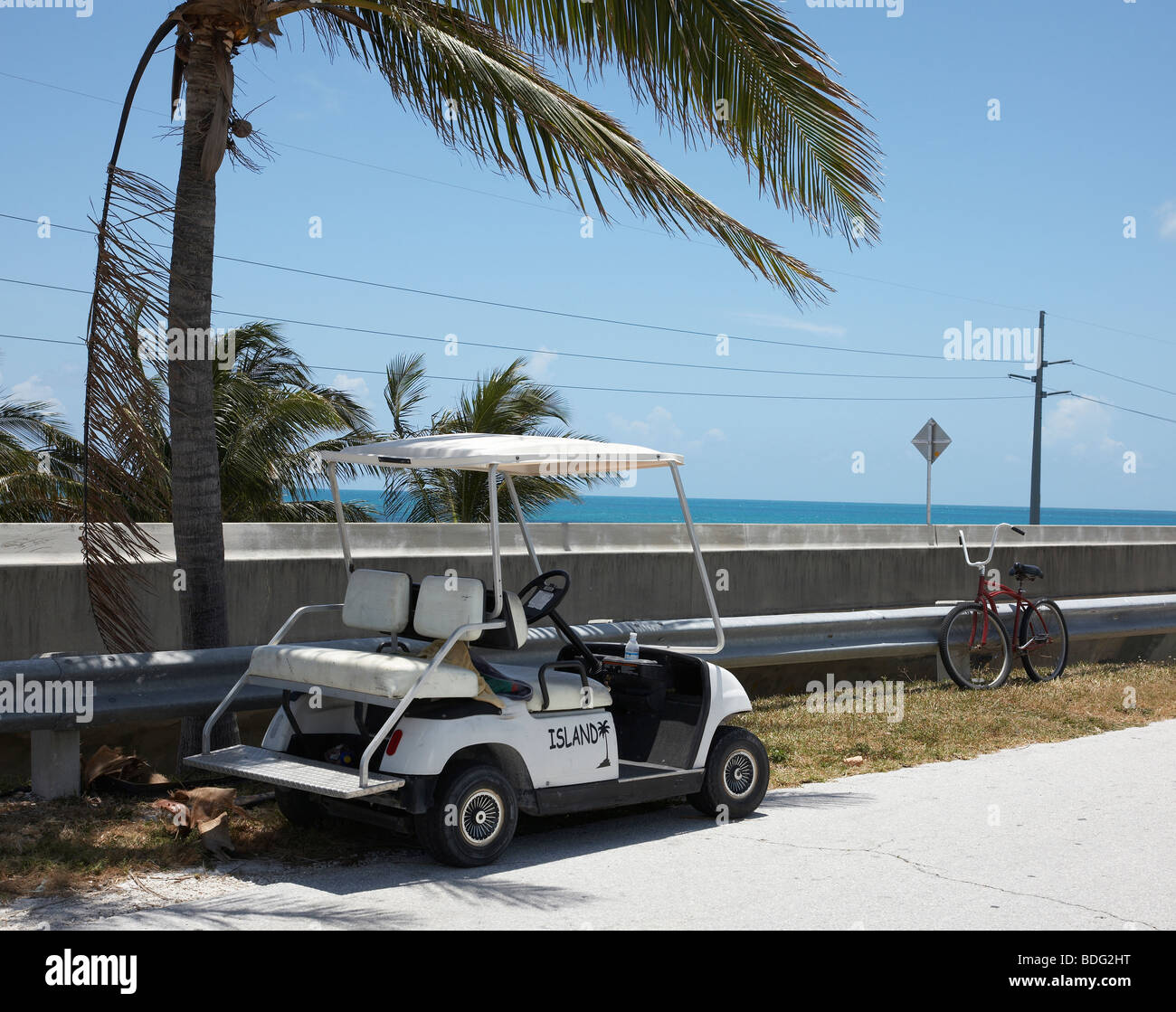 golf buggy parked under palm tree Stock Photo - Alamy