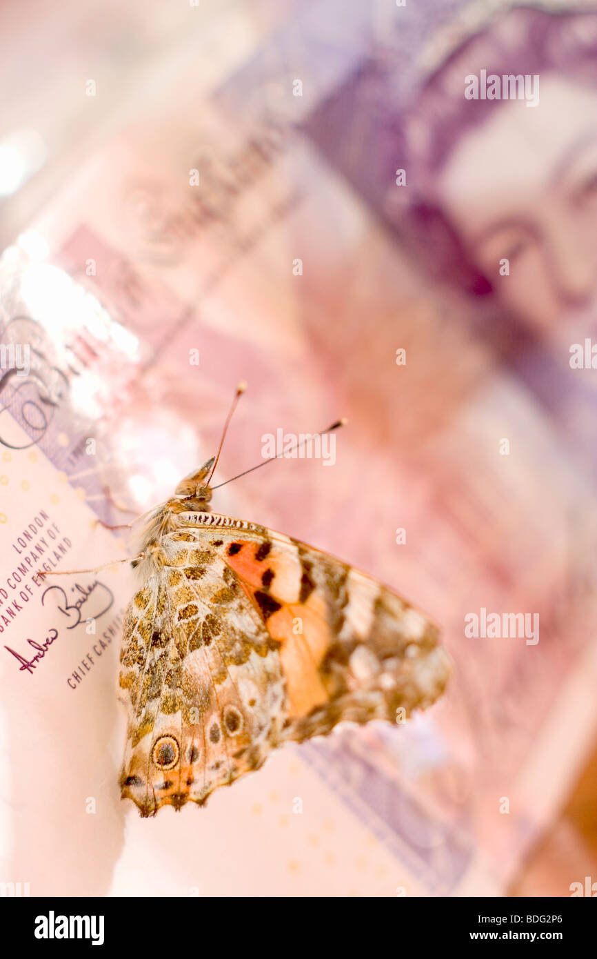 A butterfly highlighting the freedom of money Stock Photo - Alamy