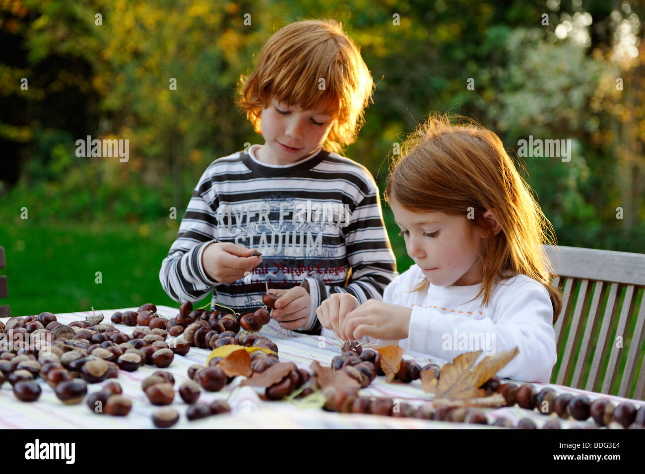 Girl and a boy playing in the garden with chestnuts, chestnut figures ...