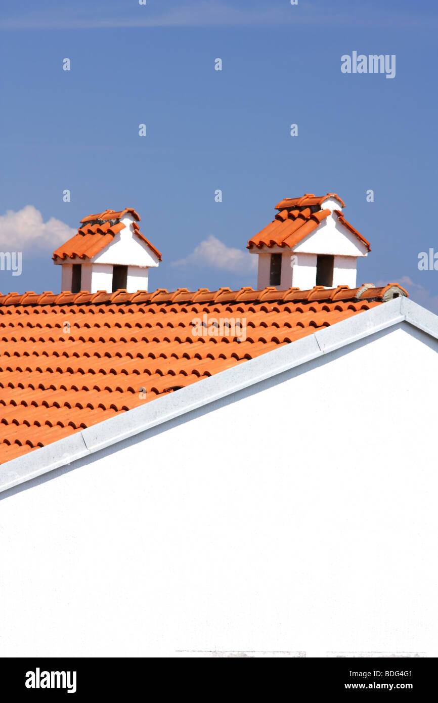 A roof with two chimneys Stock Photo - Alamy