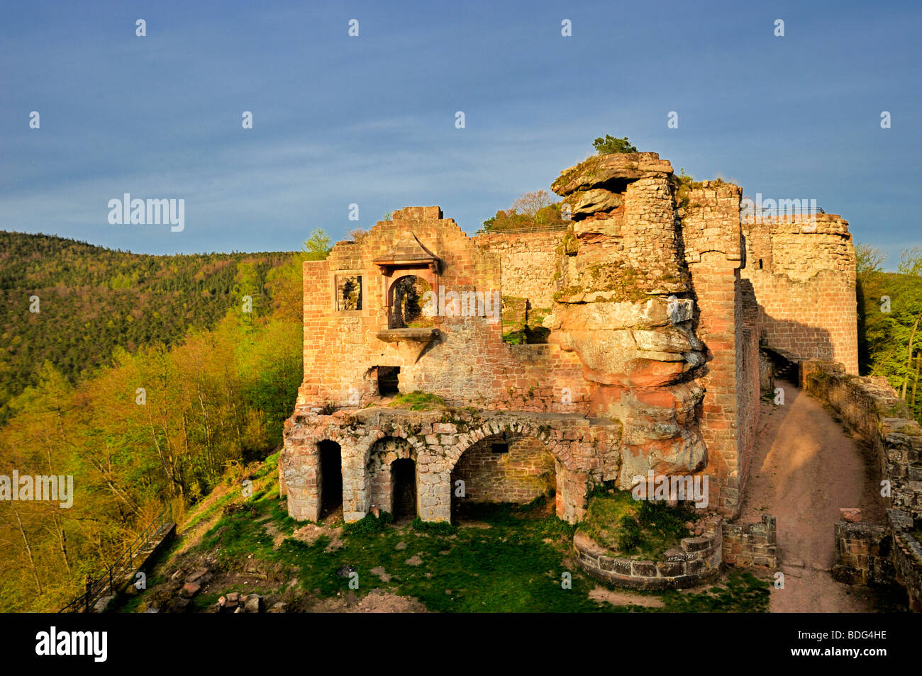 Naturpark pfaelzerwald hi-res stock photography and images - Alamy