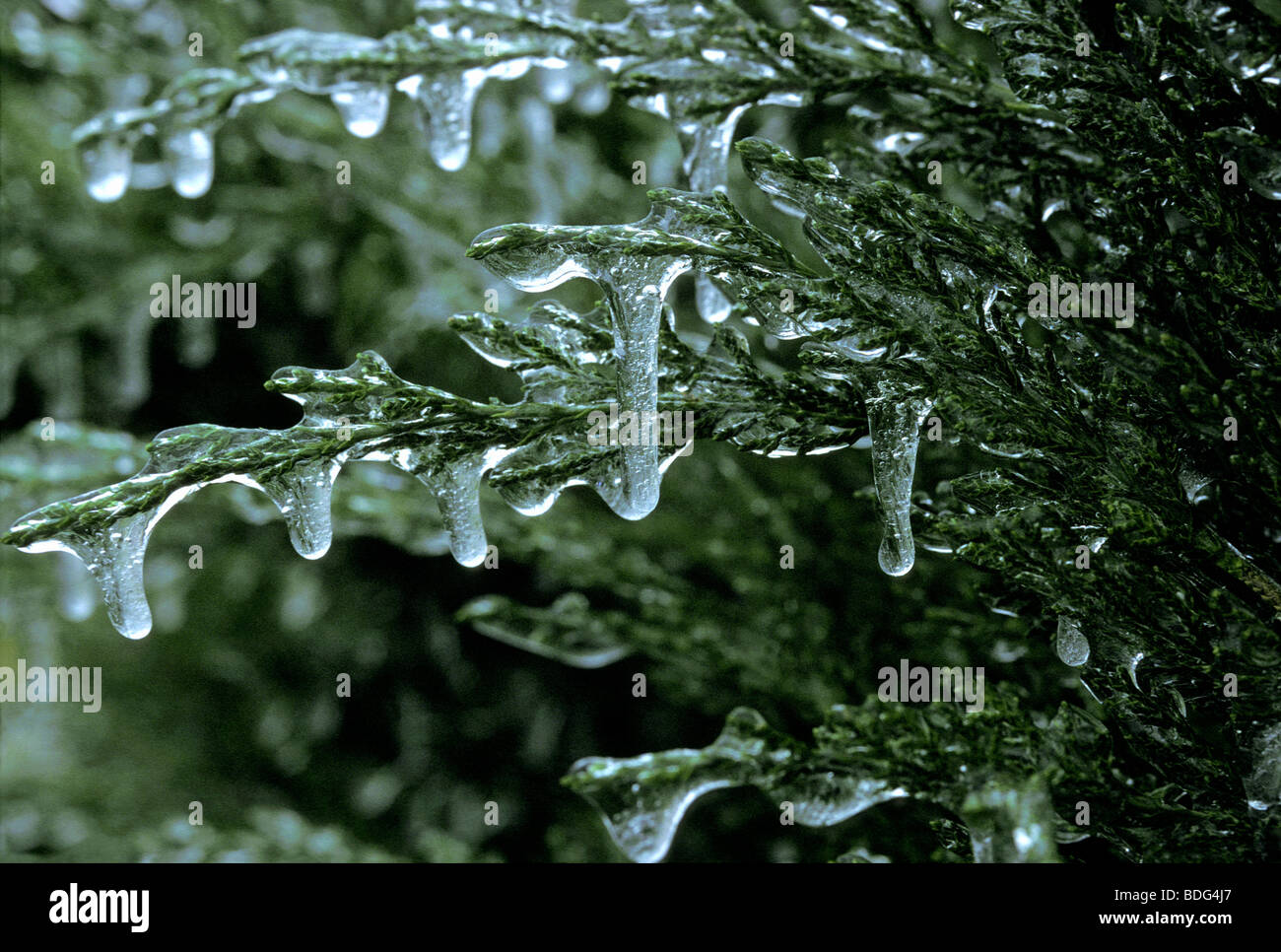 Ice sickles hi-res stock photography and images - Alamy