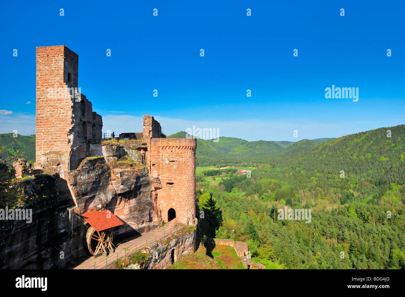 Nature reserve altdahn hi-res stock photography and images - Alamy