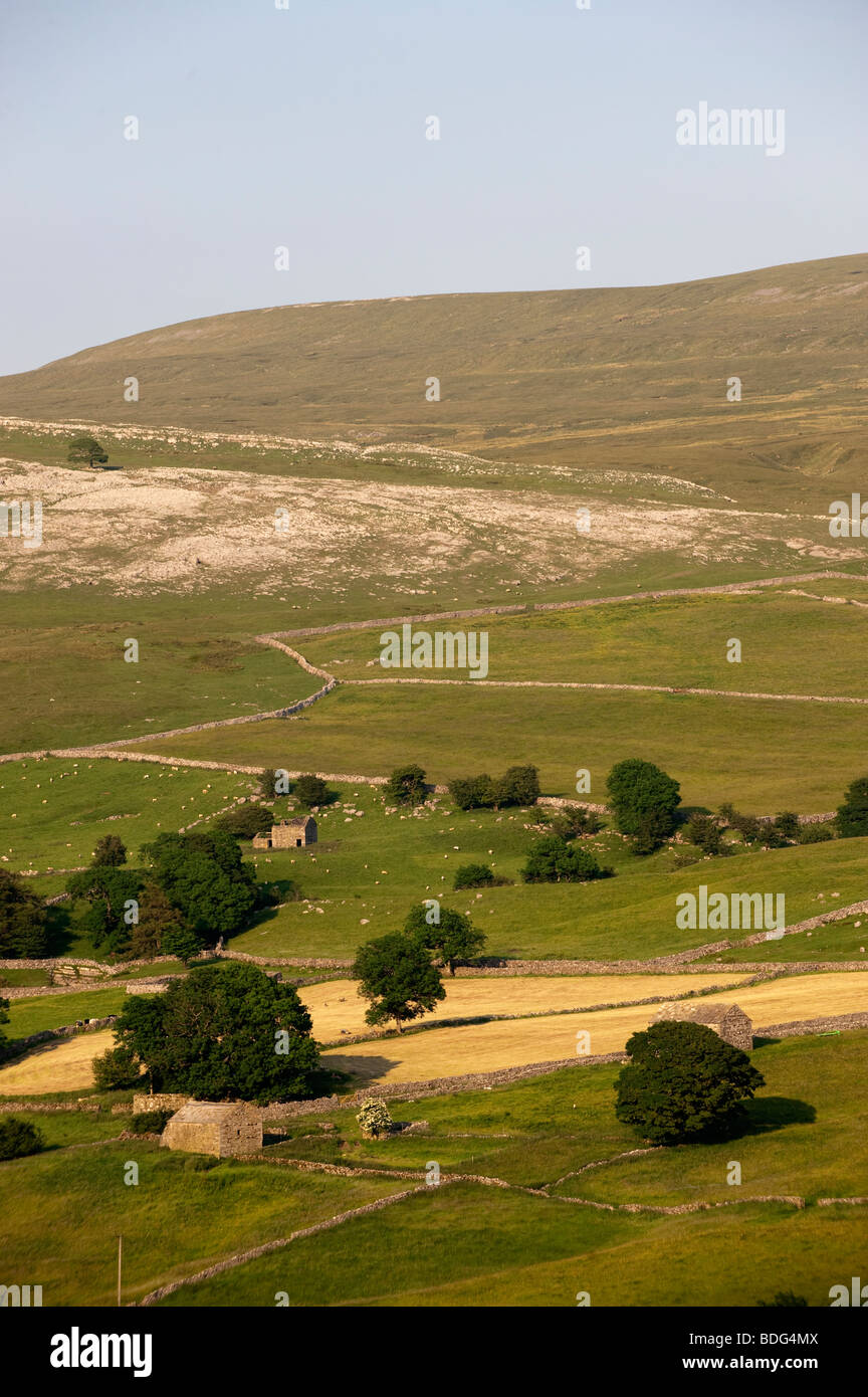 Fell End near Kirkby Stephen in Cumbria. A traditional hill farming ...
