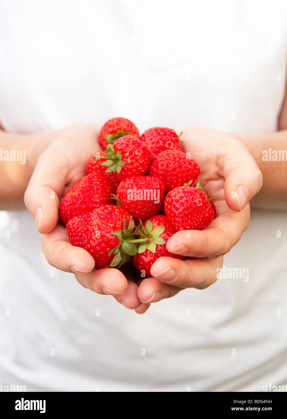 Hands holding fresh ripe strawberries Stock Photo - Alamy Hands holding fresh ripe strawberries Stock Photo - Alamy