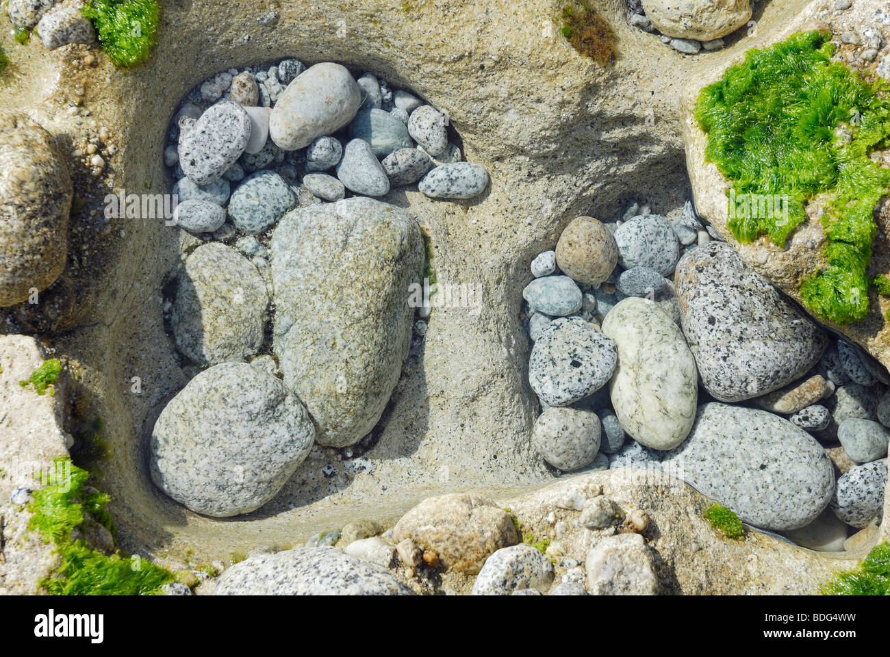 Sandstone tidal basin ground down by granite rocks and the ocean surf ...