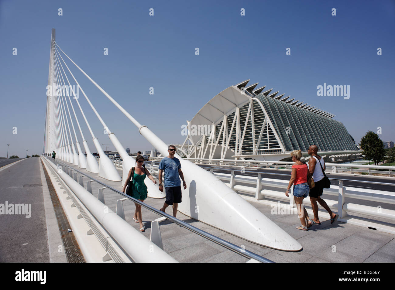 Assut d’Or bridge (aka Serreria Bridge) in Valencia designed by ...