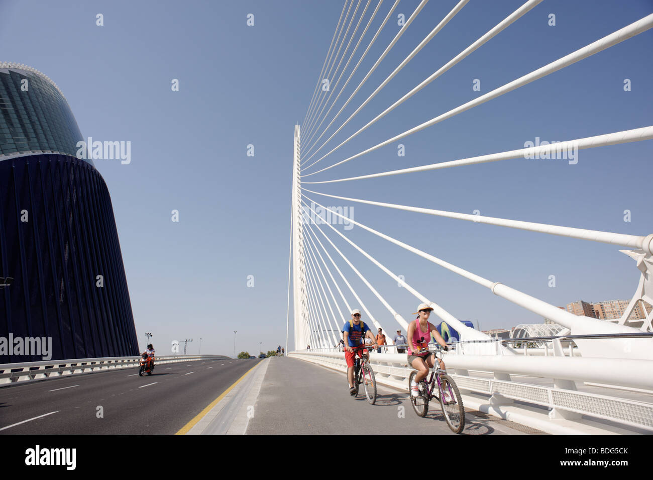 Assut d’Or bridge (aka Serreria Bridge) in Valencia designed by ...
