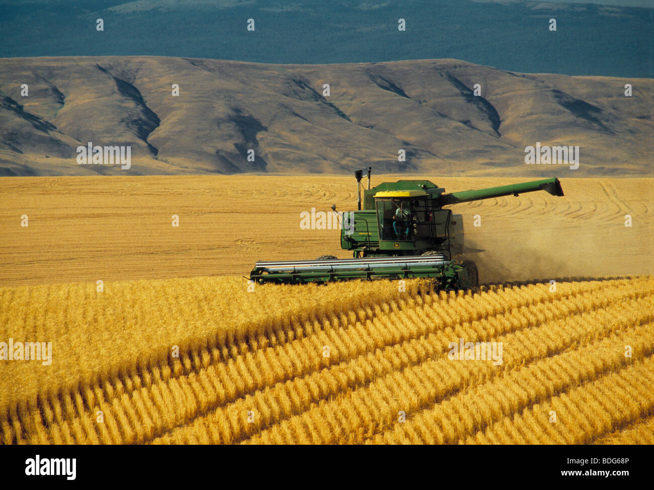 Oregon mature agriculture hi-res stock photography and images - Alamy