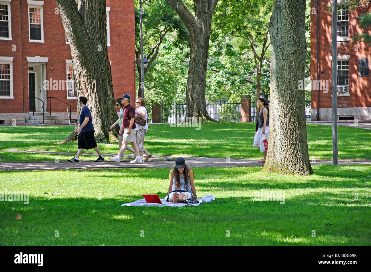 Harvard University campus in Cambridge, Massachusetts Stock Photo - Alamy