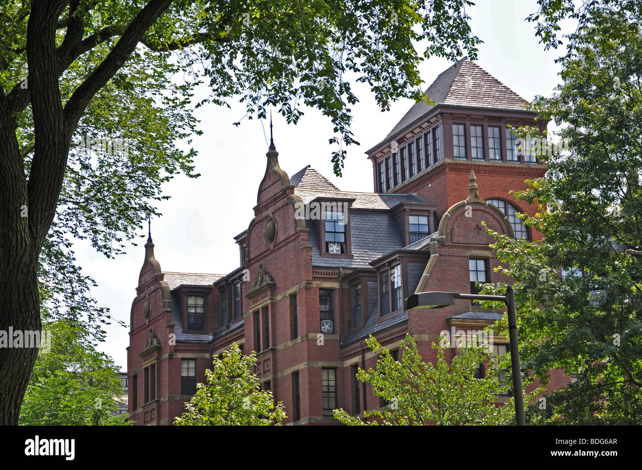 Harvard university campus hi-res stock photography and images - Alamy