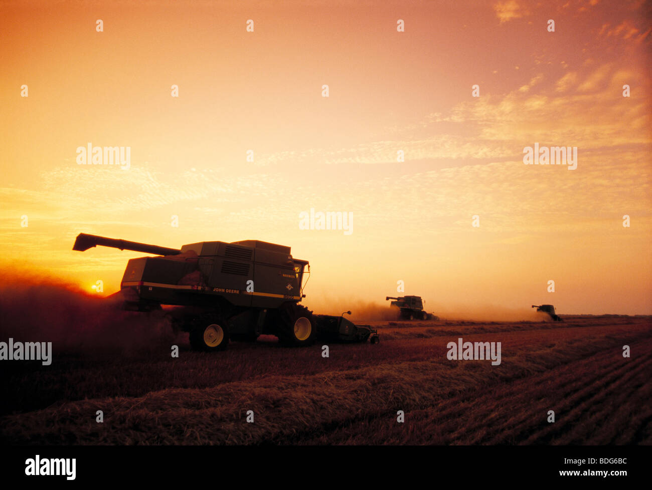 Swathed wheat hi-res stock photography and images - Alamy