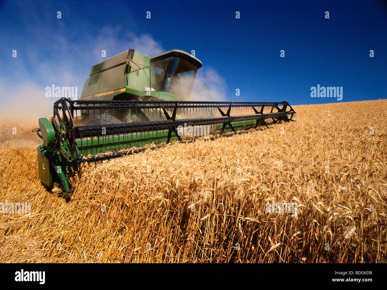 Agriculture - John Deere combine harvesting hillside wheat in the ...