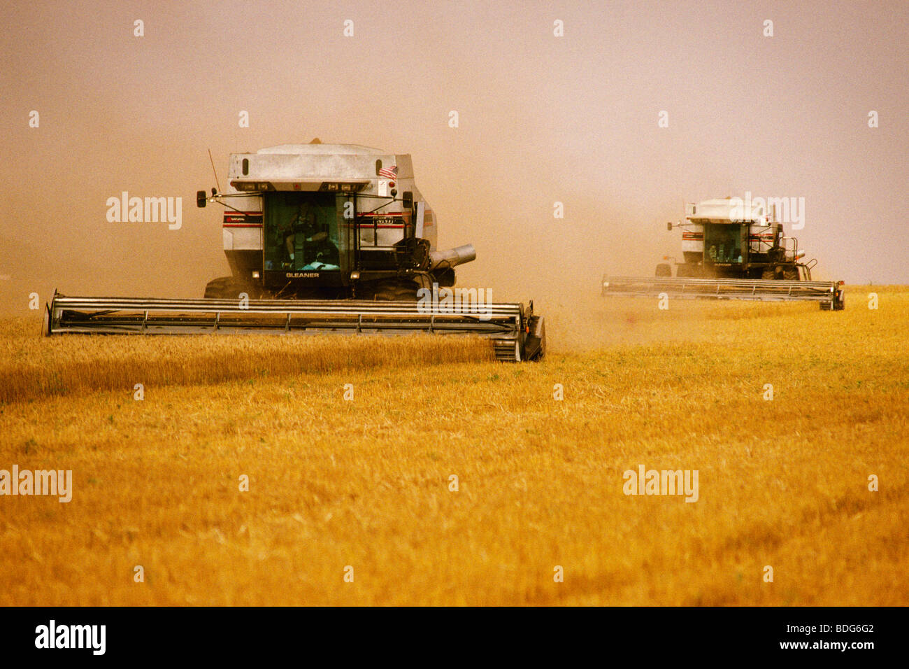 Wheat fields midwest hi-res stock photography and images - Alamy