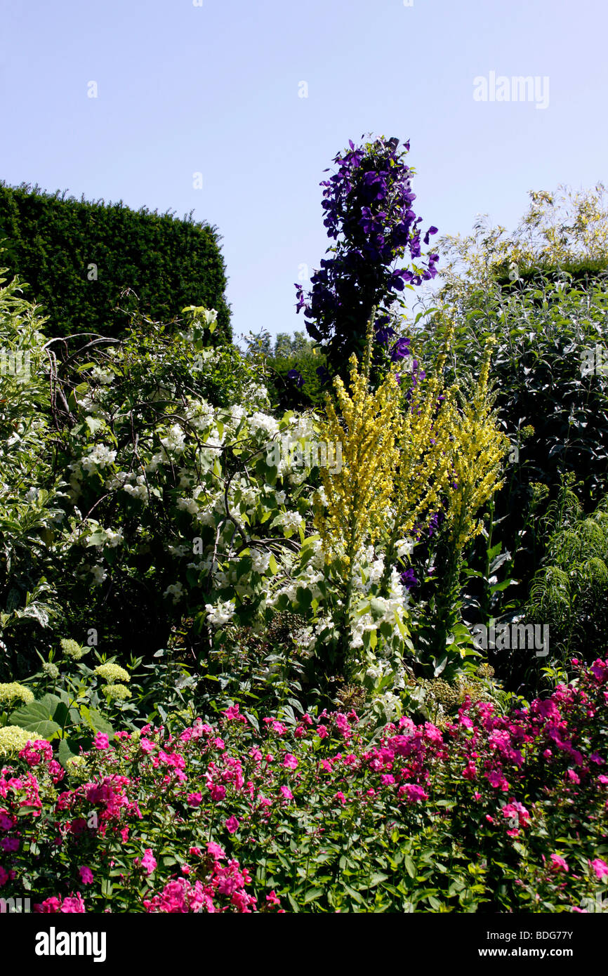 A COLOURFUL SUMMER FLOWER BORDER IN AN ENGLISH COUNTRY GARDEN Stock ...