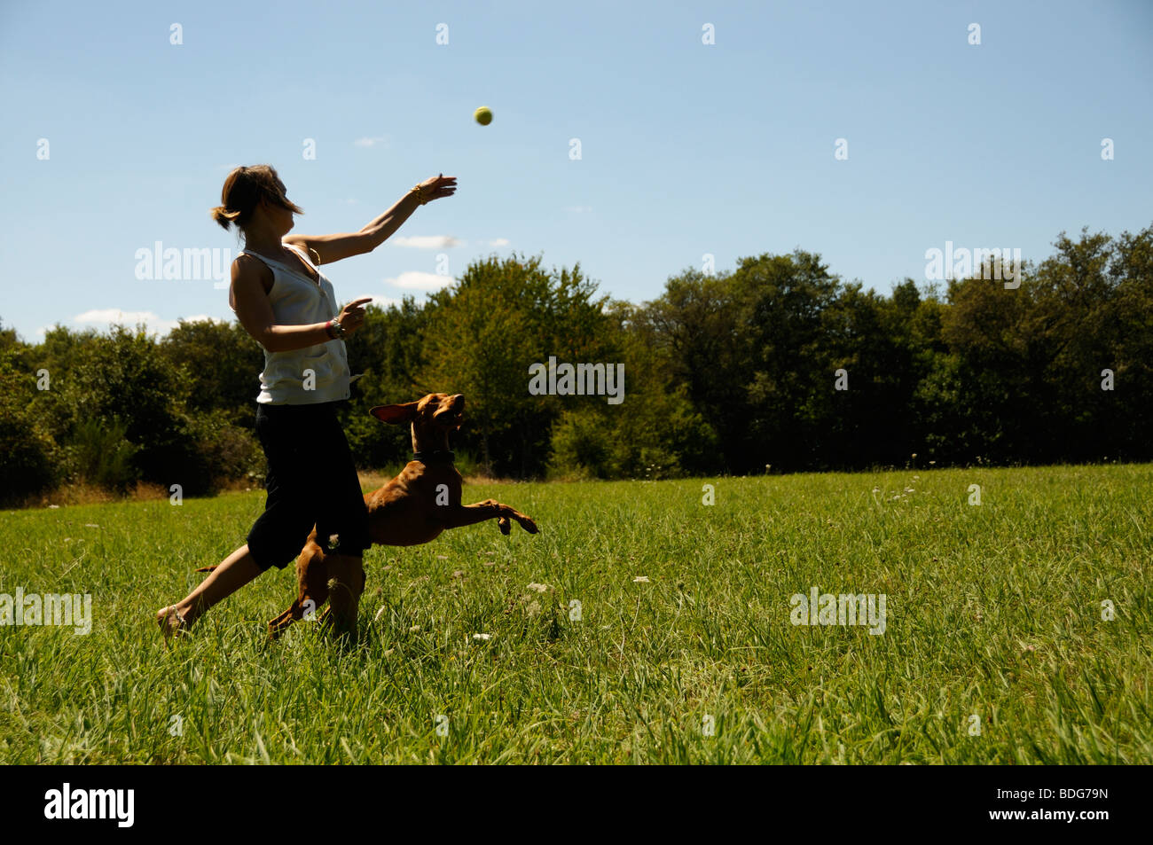 Stock photo of a teenage girl throwing a ball for her dog Stock Photo ...