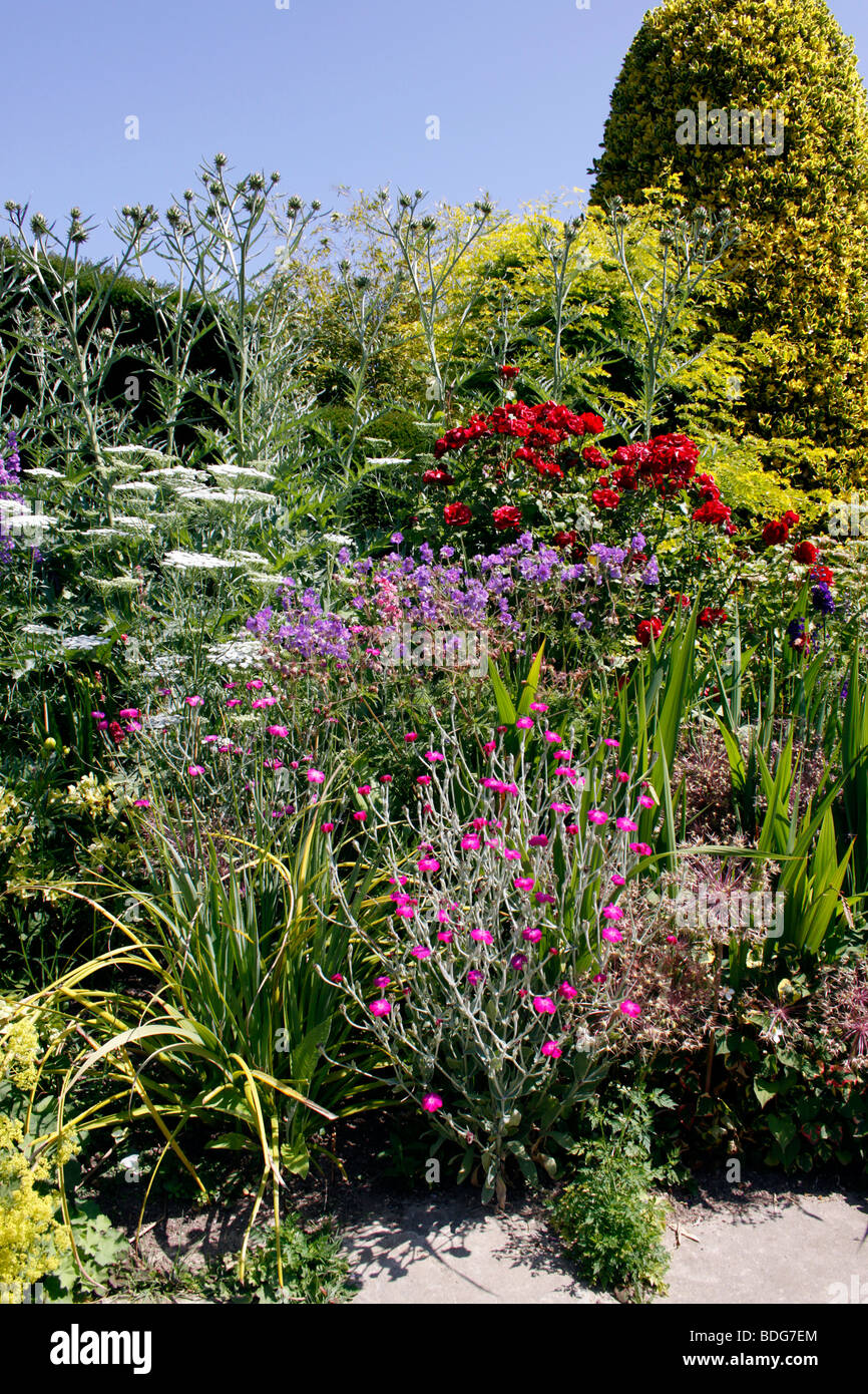 A COLOURFUL SUMMER FLOWER BORDER IN AN ENGLISH COUNTRY GARDEN Stock ...