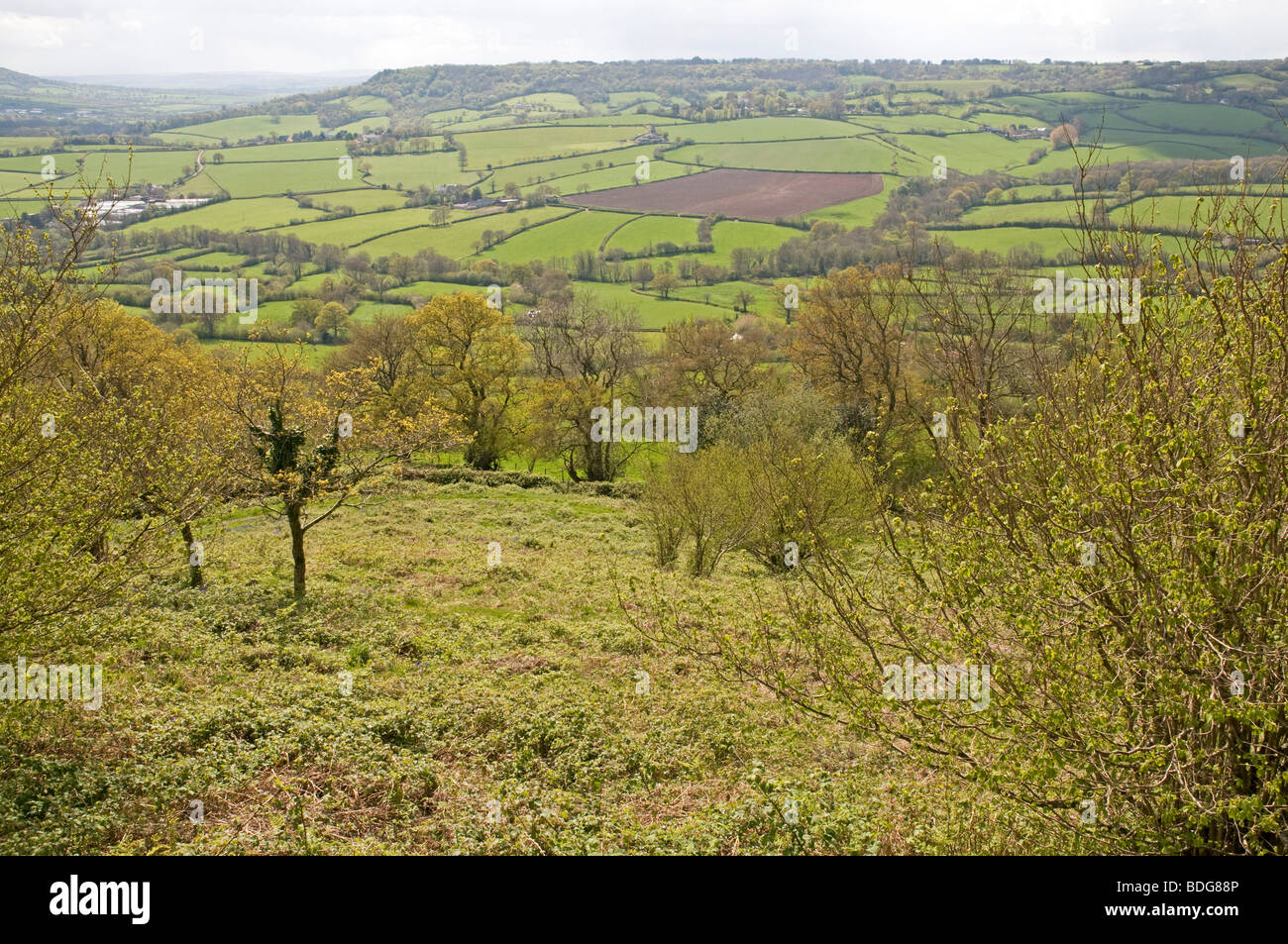 Looking west across the rolling east Devon countryside from Dumpdon ...