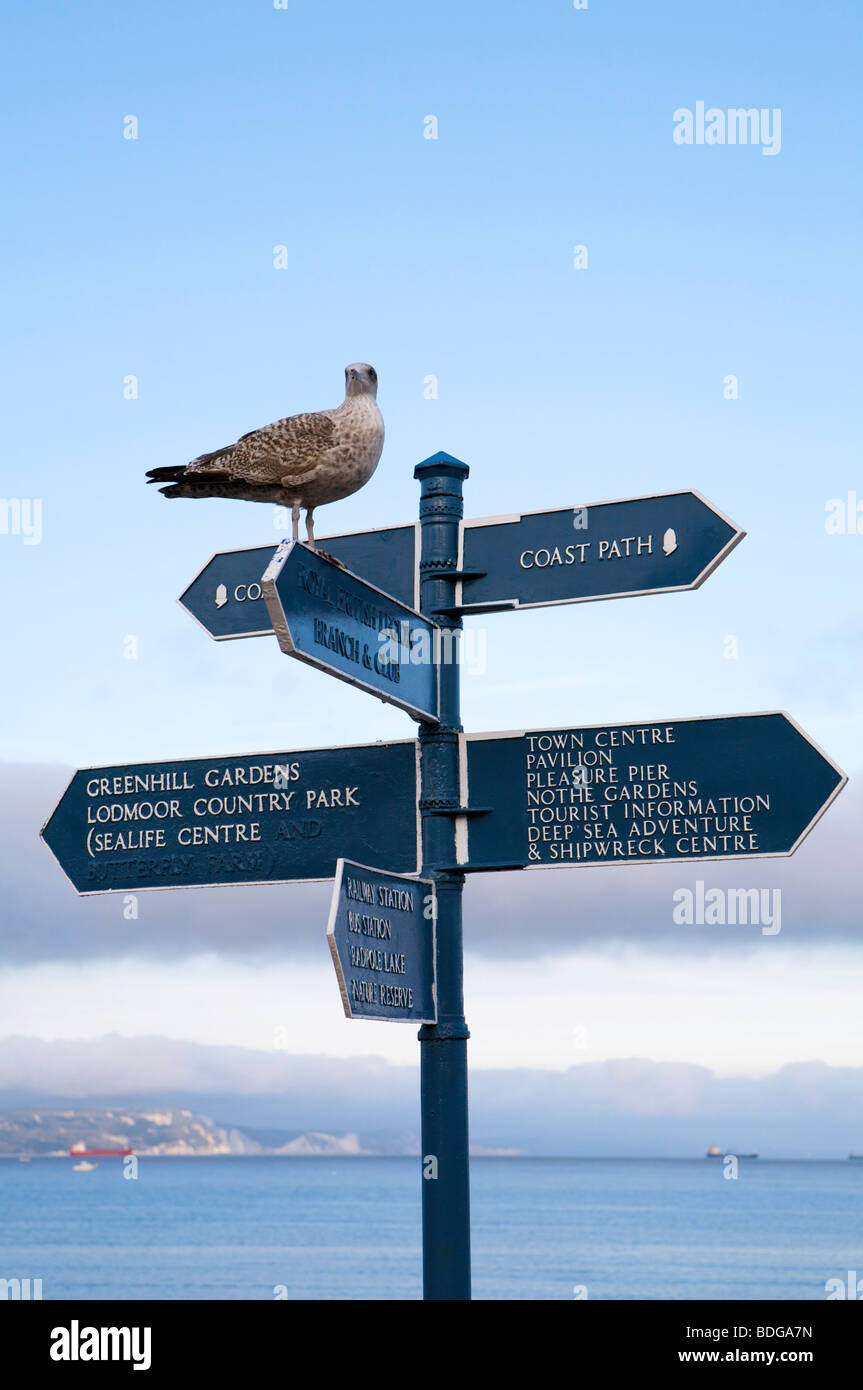 Sign and seagull Stock Photo - Alamy