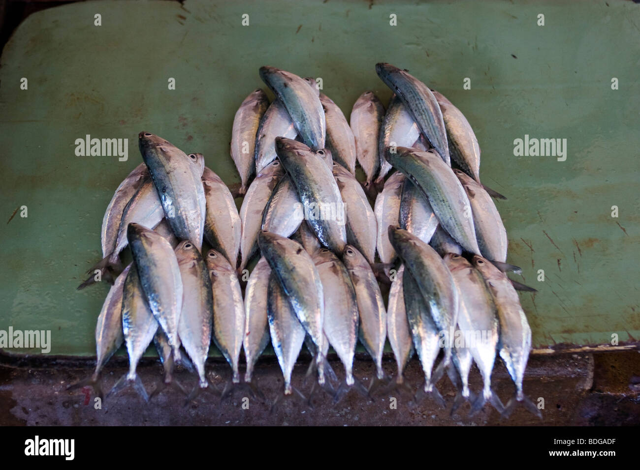 The main fish market in Stone Town Stock Photo - Alamy