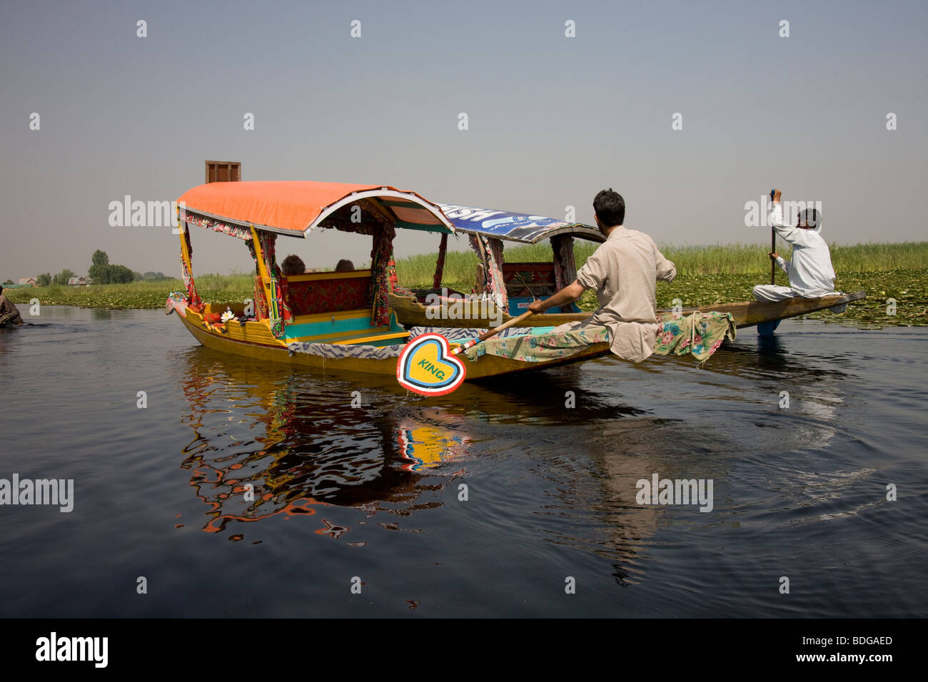 India, Kashmir Srinagar, Dal Lake, Shikara boat Stock Photo - Alamy