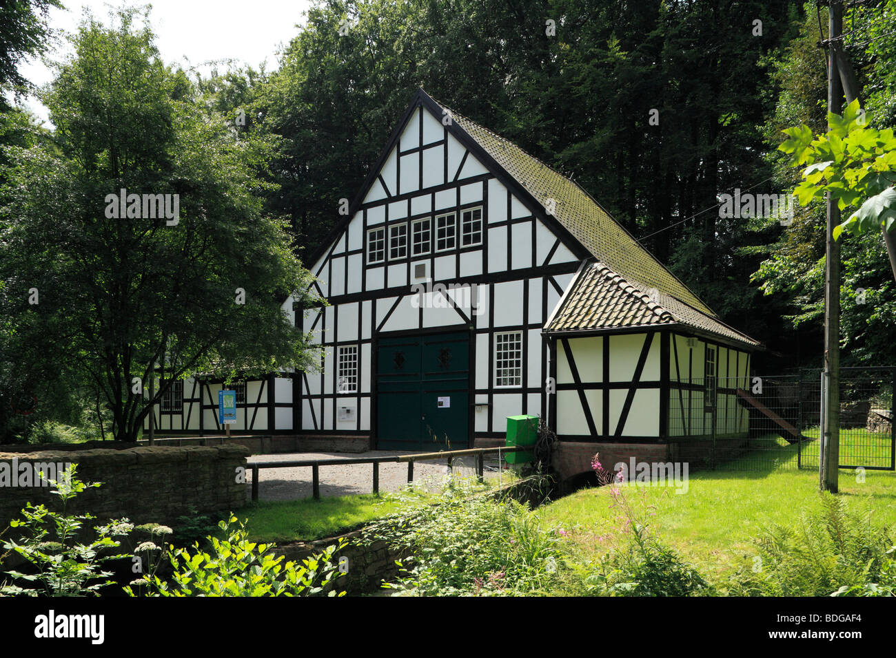 Essen fulerum hi-res stock photography and images - Alamy