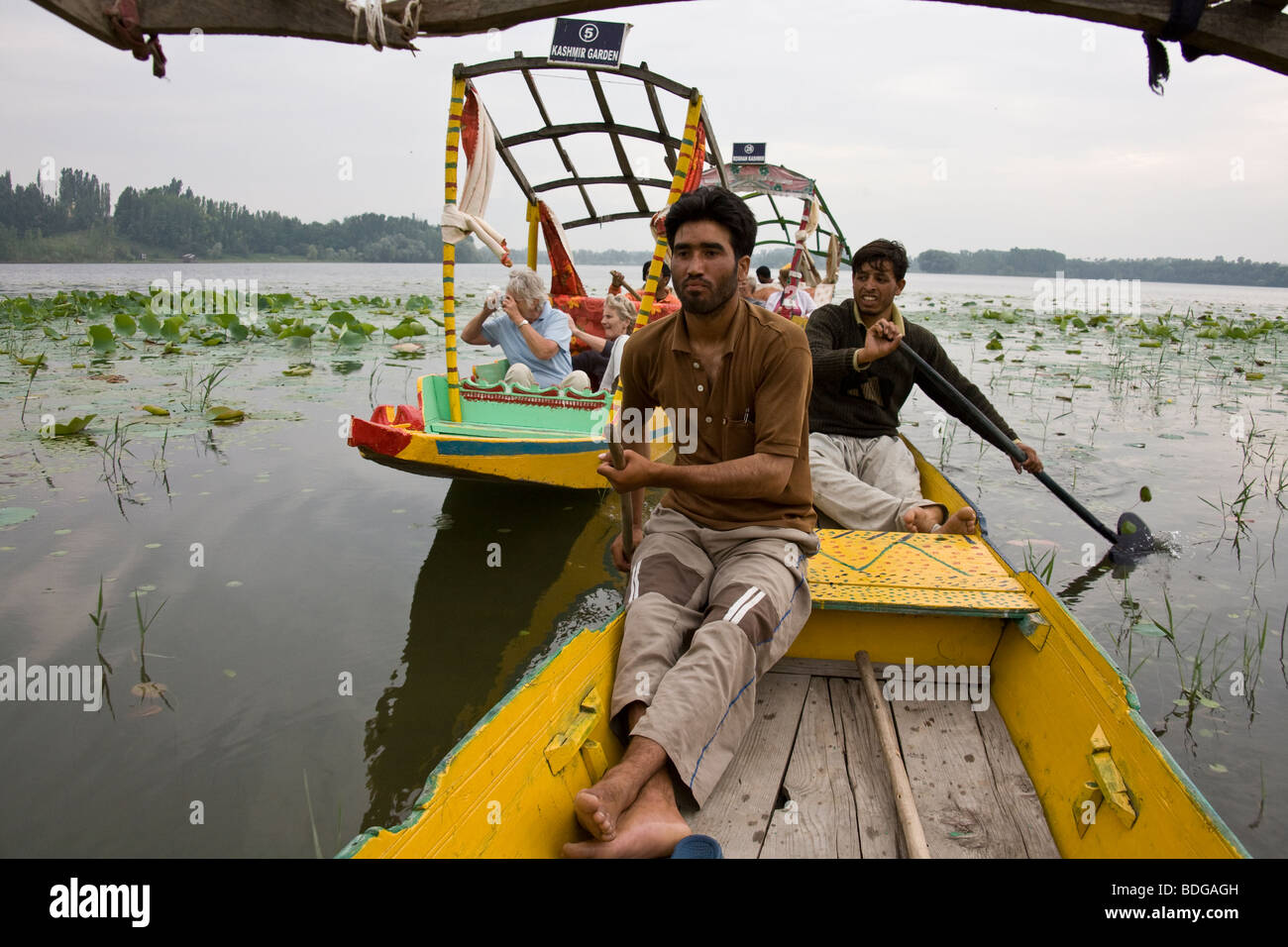 India, Kashmir, Srinagar, Shikara boat, Lake Dal Stock Photo - Alamy