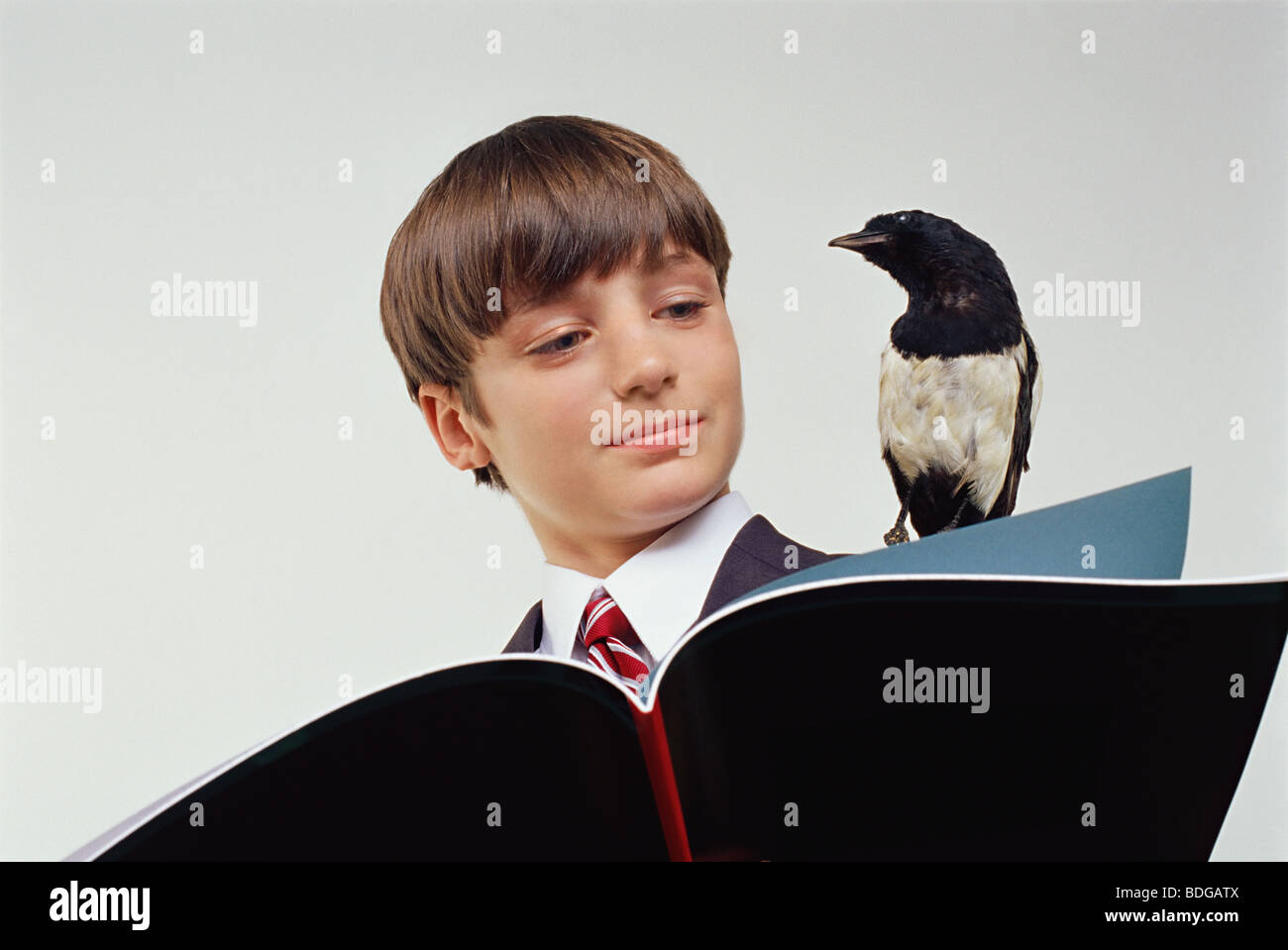 Boy reading a book with magpie on his shoulder Stock Photo - Alamy