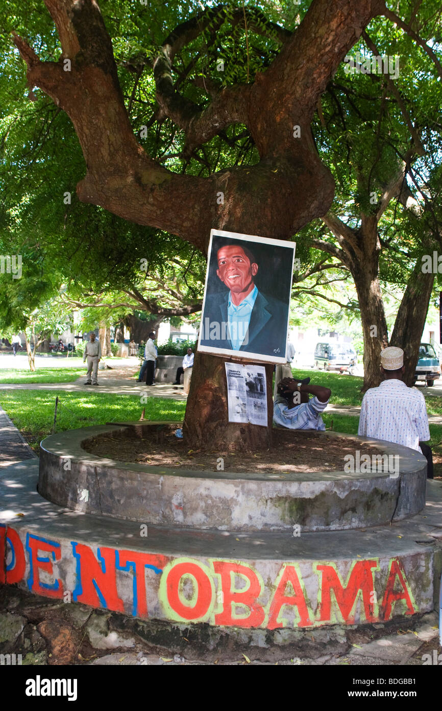 The Obama tree, where drivers gather and take some shade. Zanzibar ...