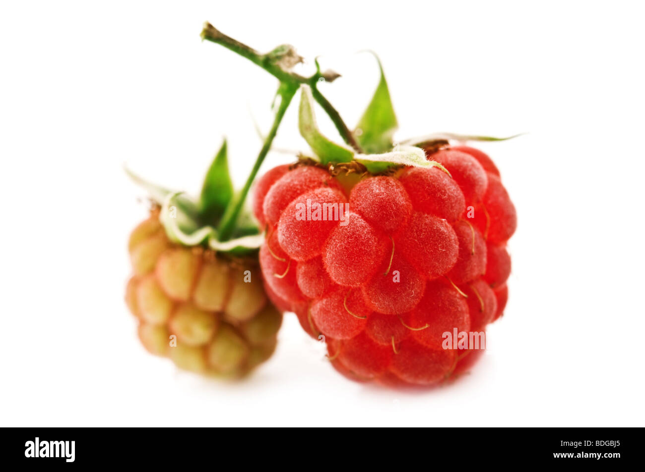Red raspberry fruit Cut Out Stock Images & Pictures - Alamy
