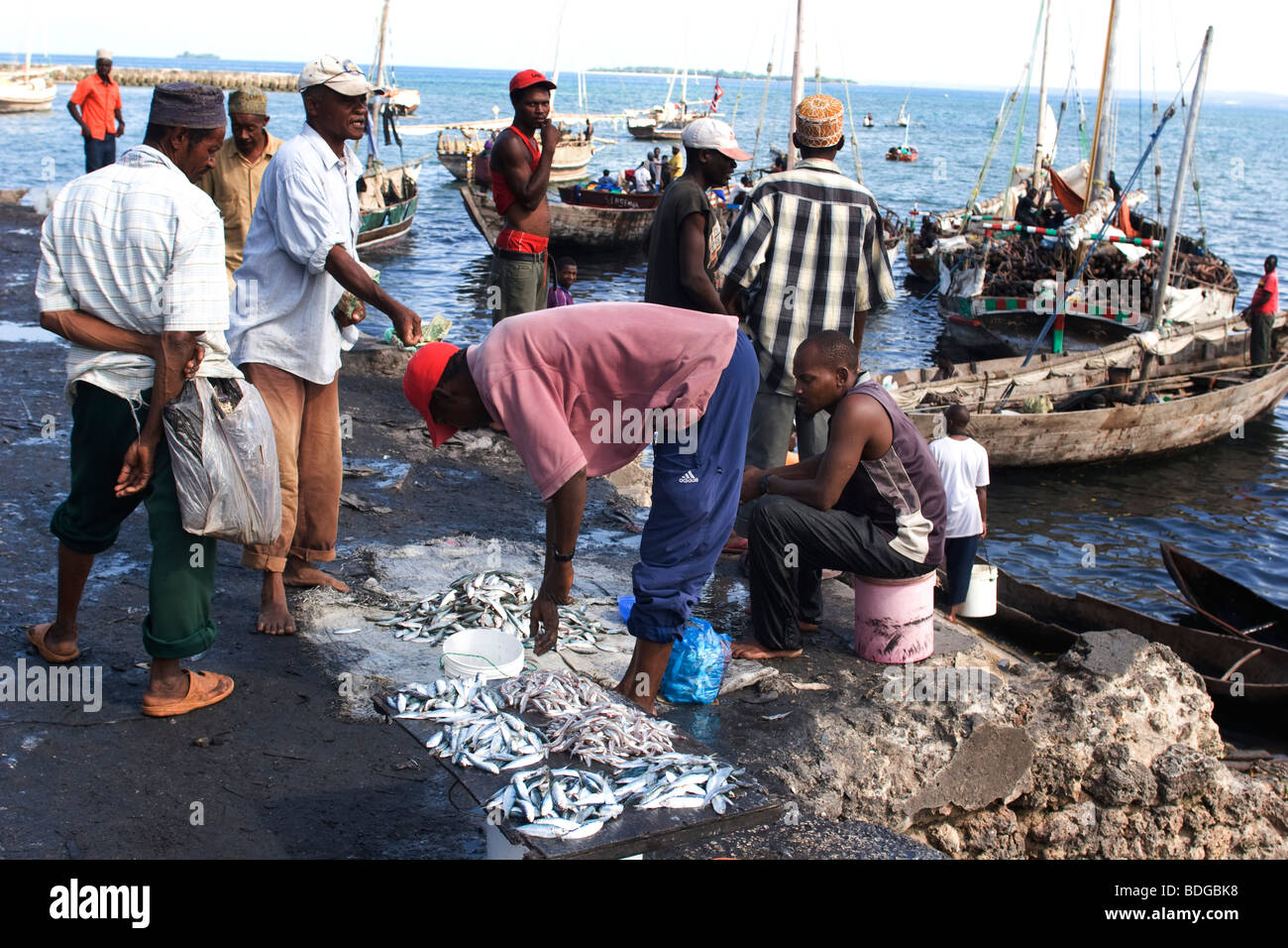 The main fish market in Stone Town. Workers process and sell their ...