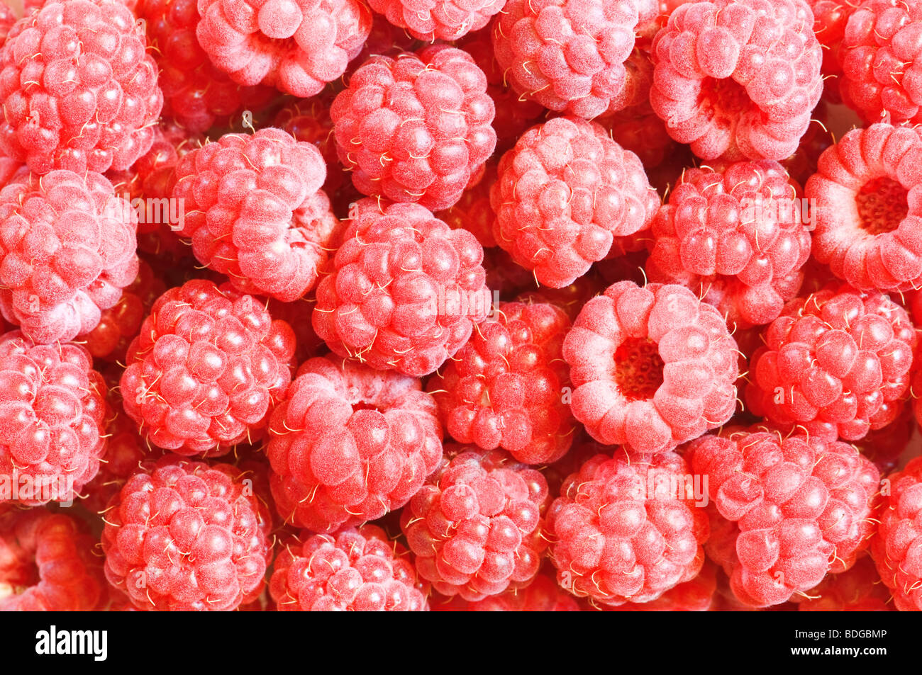 Ripe raspberry hi-res stock photography and images - Alamy