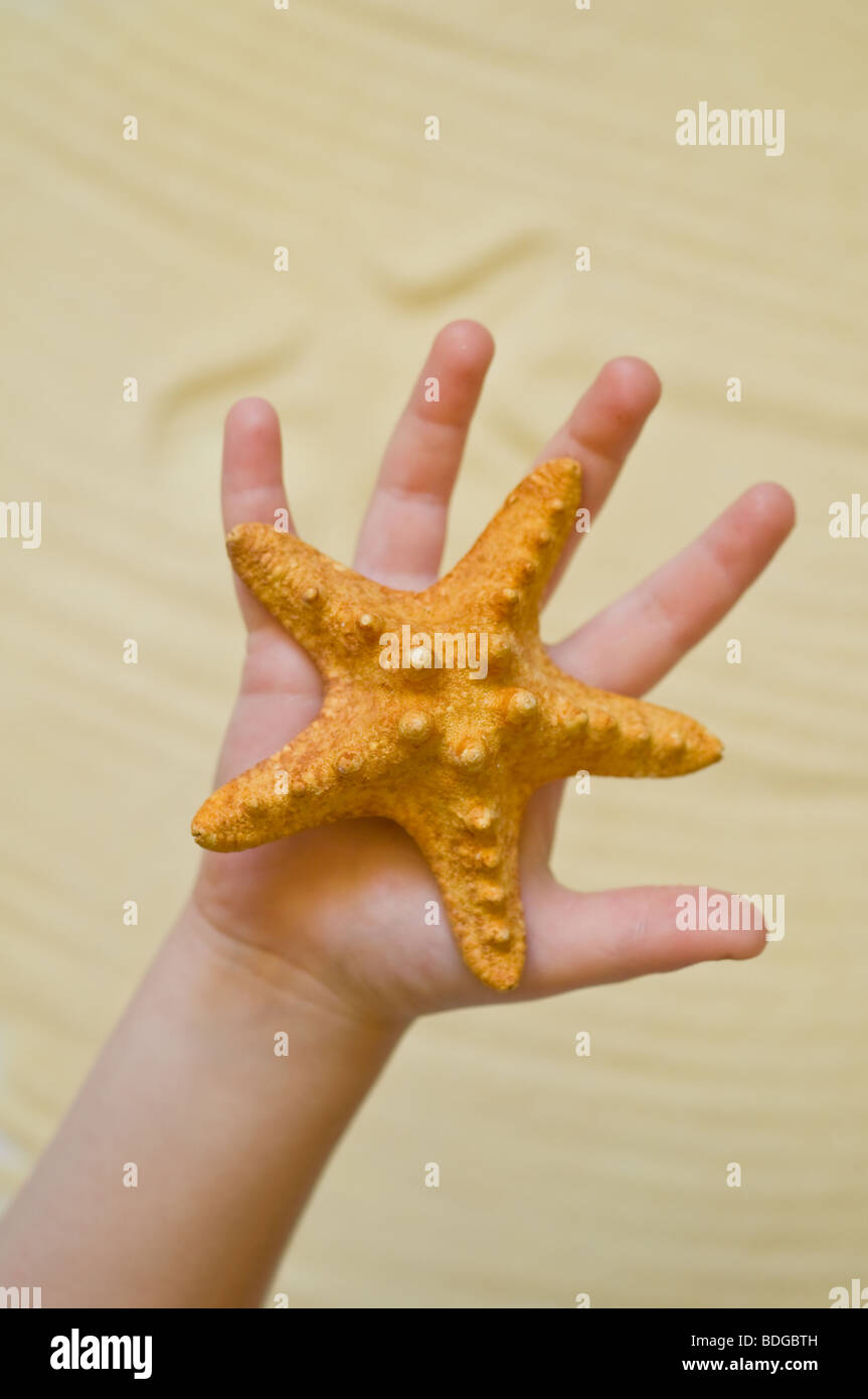 Hand starfish hi-res stock photography and images - Alamy