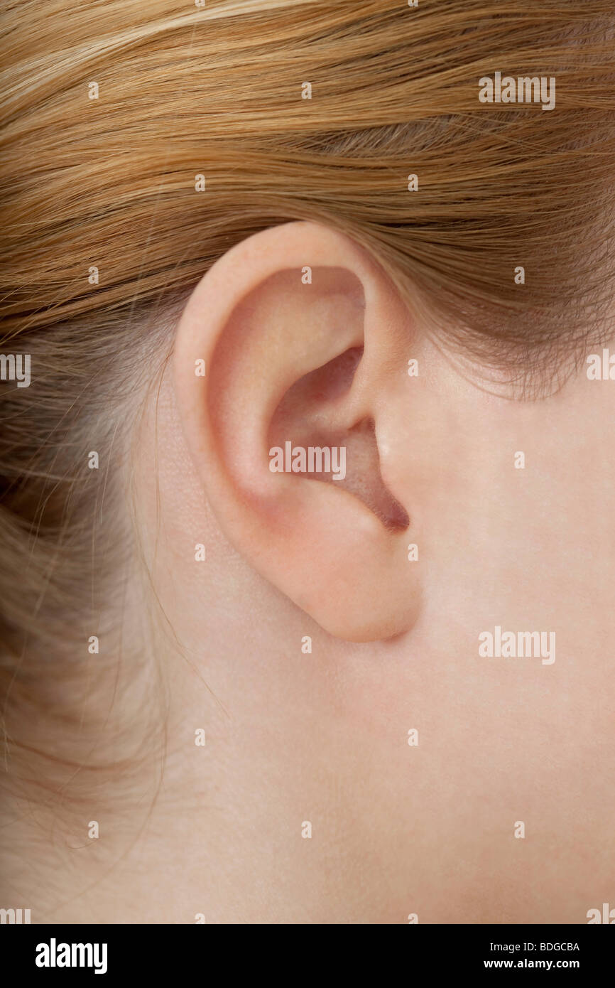 Ear details hi-res stock photography and images - Alamy