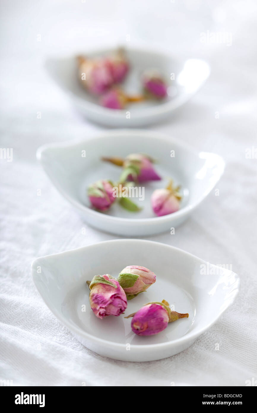 Medical Rose High Resolution Stock Photography and Images - Alamy