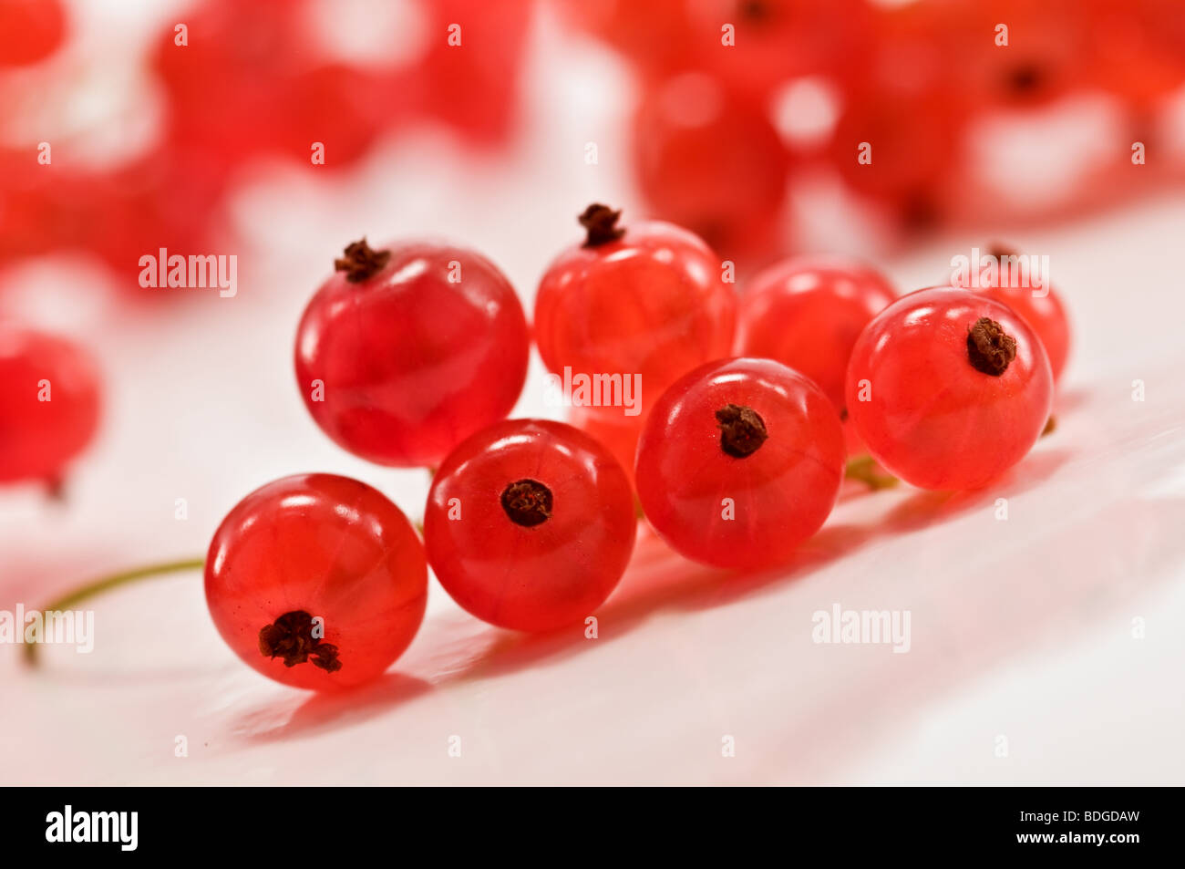 Currant fruit hi-res stock photography and images - Alamy